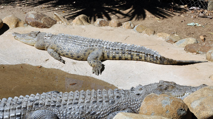 Magnetic Island and around Townsville