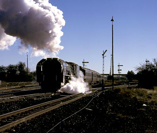 South Africa in 1997 - May 17